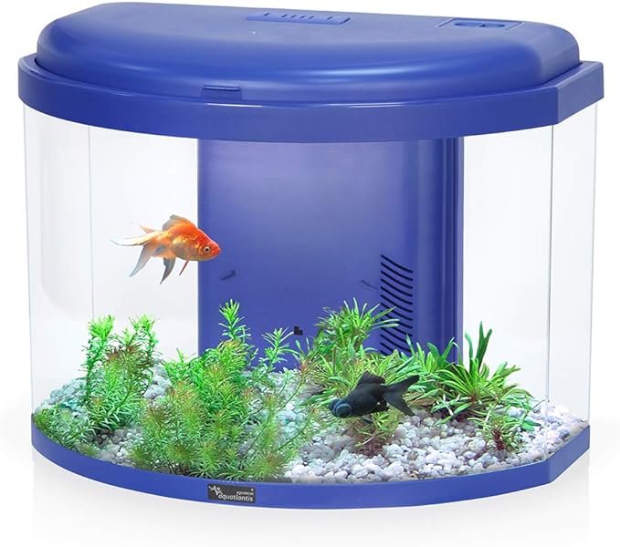 Pecera hexagonal - Todo de Peces